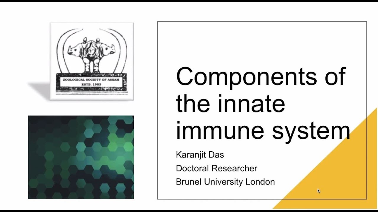 Components of the Innate Immune System - YouTube