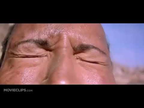 akrep kral karınca sahnesi