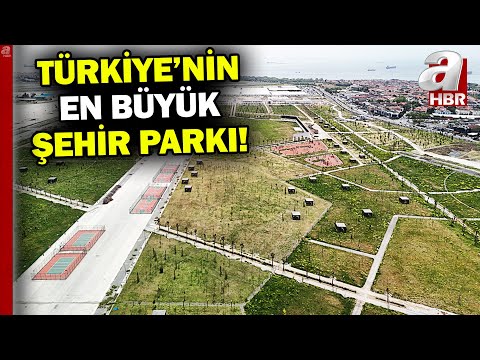 Atatürk Havalimanı Millet Bahçesi yeşile büründü! Türkiye'nin en büyük şehir parkı | A Haber