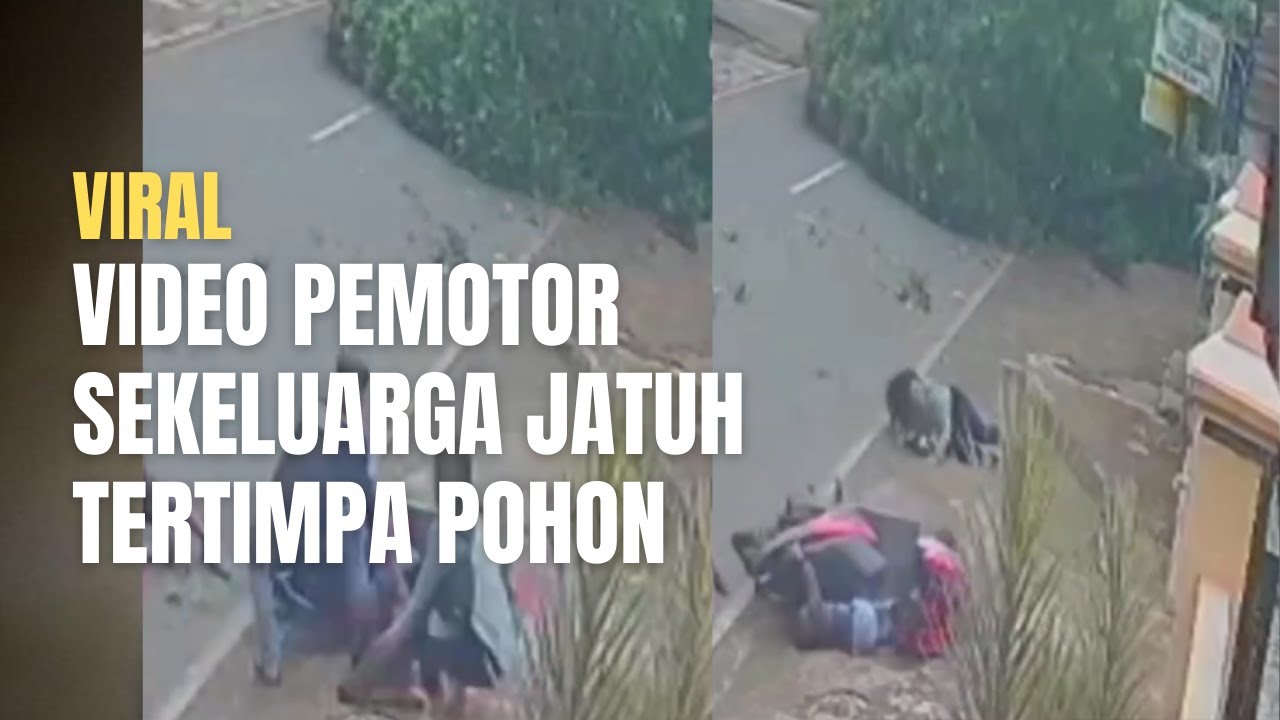 Viral Video Pemotor Sekeluarga Jatuh Tertimpa Pohon - YouTube