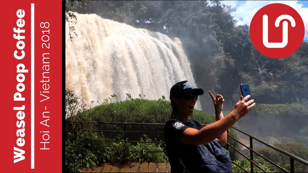 Weasel Poop Coffee & Elephant Falls Dalat- Vietnam Travel Vlog - YouTube