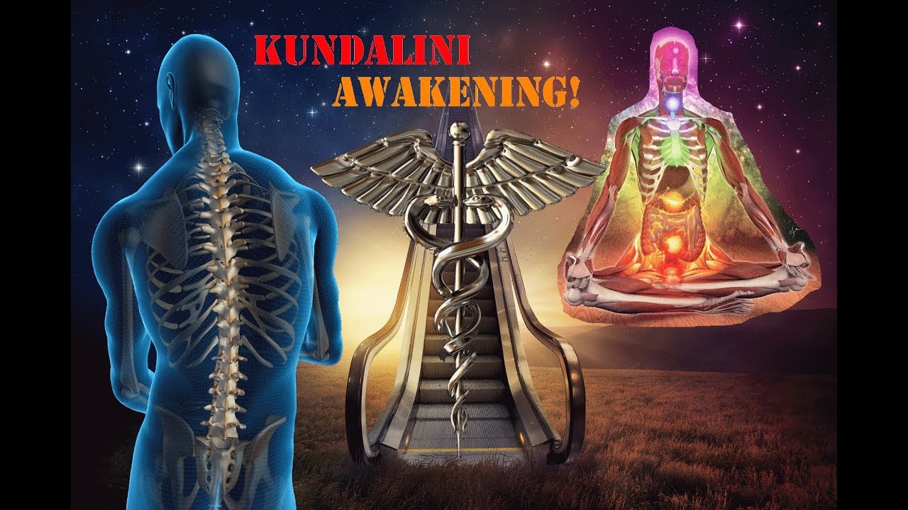 The Relation Between The Spinal Cord With Human Energy and Kundalini ...