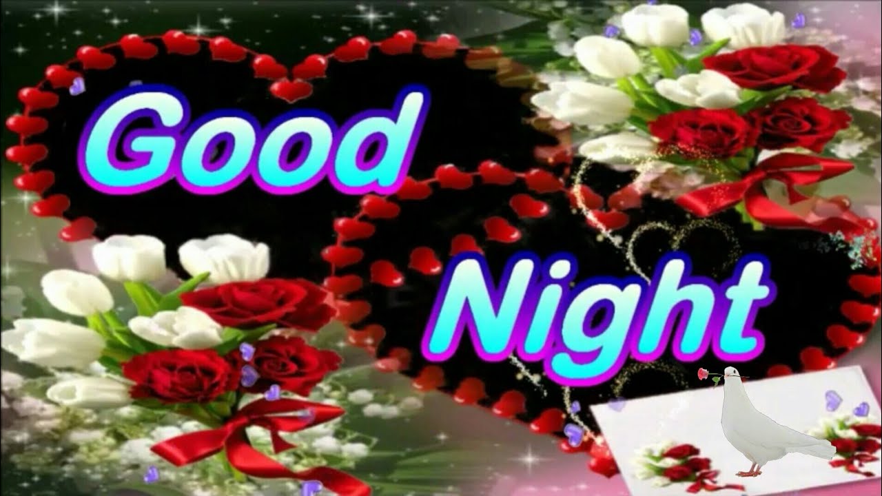 GOOD NIGHT video - YouTube