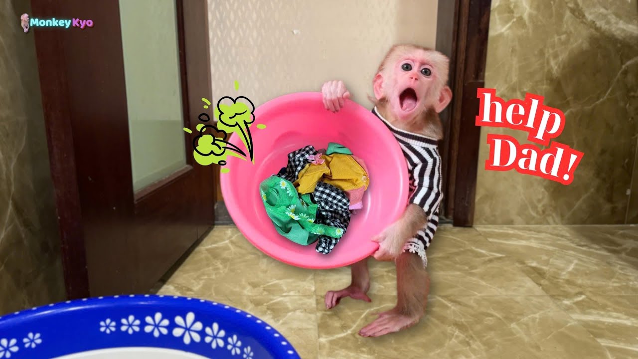Baby Kyo smart helps Dad do the laundry - Unbelievable! - YouTube