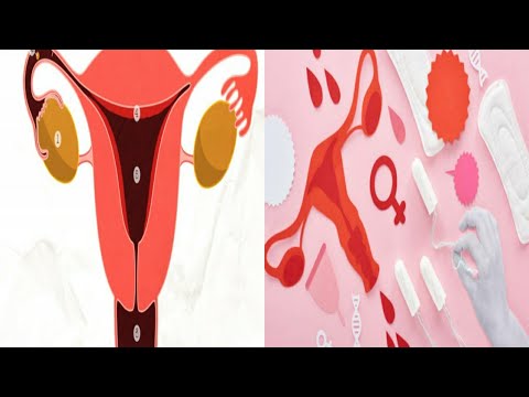 Iska Sax Caadada Adoo gurigaaga joogo || Caado Wareerka Xal Baa ...