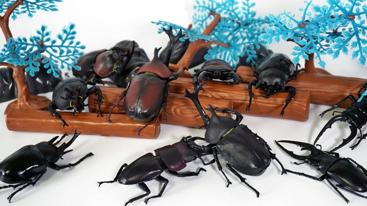 Insect hunter (Japanese High Quality Beetle Bug Figures) 사슴벌레 장수풍뎅이 곤충 ...
