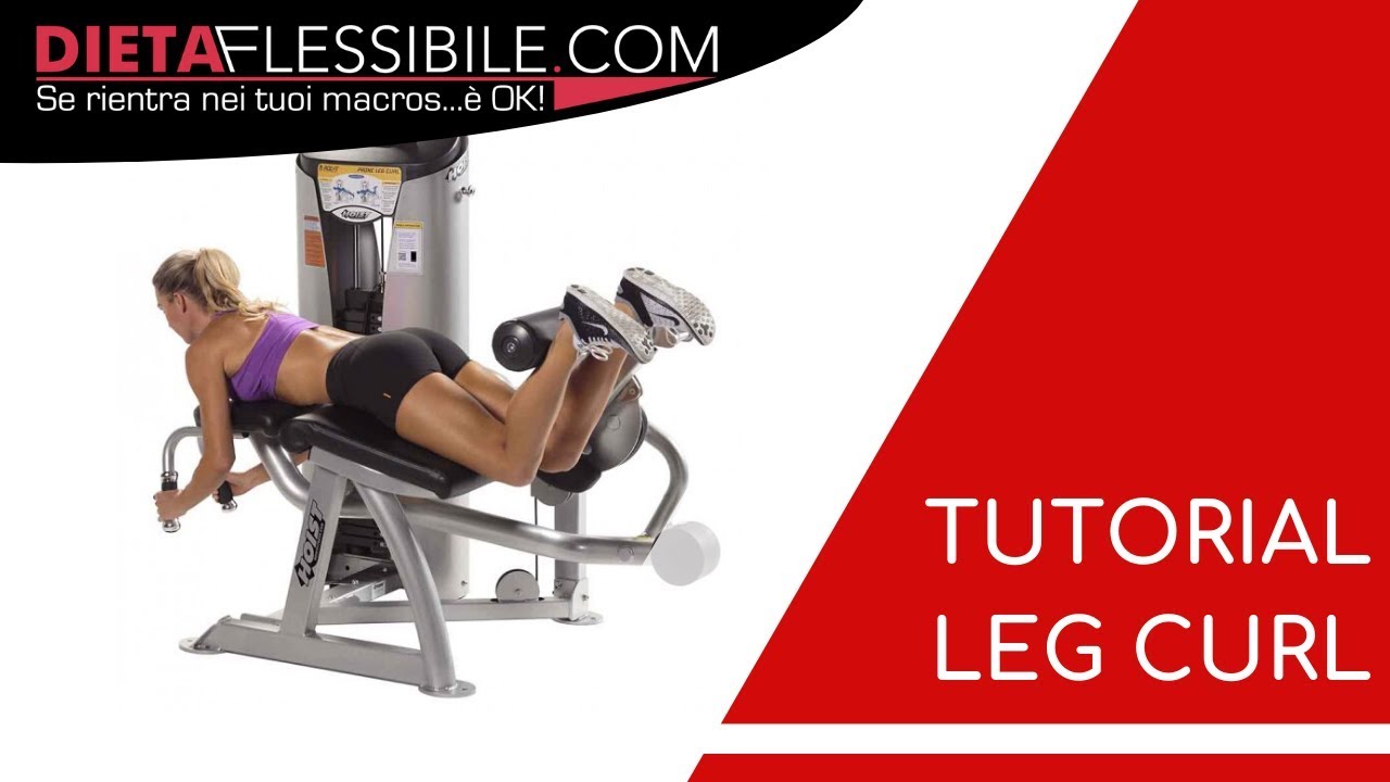 Tutorial Leg Curl - YouTube