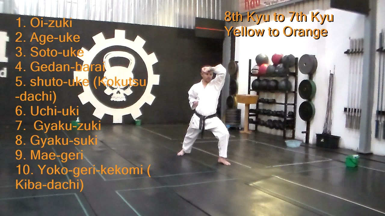 Yellow to Orange Belt (8th Kyu to 7th Kyu) - YouTube