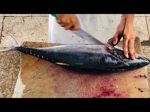 “Full Tuna Fish Cleaning and Cutting Process | Professional Tuna ...