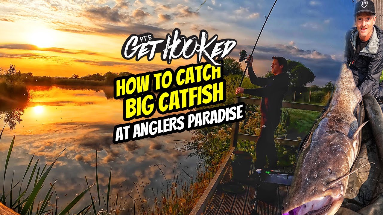 Catfish Secrets Revealed! How to Catch Big Cats at Anglers Paradise ...