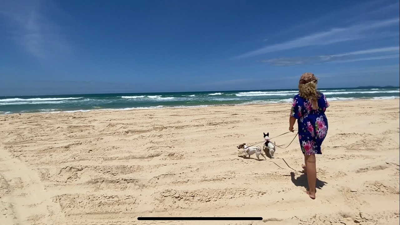 Quick beach trip. Busy on the farm. - YouTube