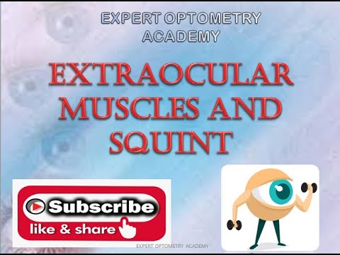 EXTRA OCULAR MUSCLES AND SQUINT MCQs || MCQs for Optometrist Ophthalmic ...