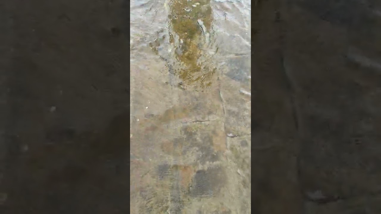 Aare colony Beautiful nature(4) - YouTube