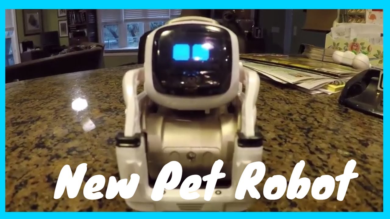New Pet Robot - Cozmo playing games with ZooBro - YouTube