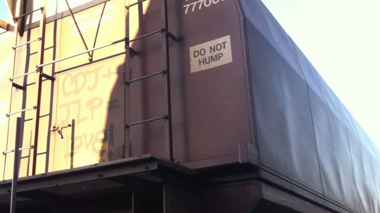 DO NOT HUMP THE TRAIN???!!! - YouTube