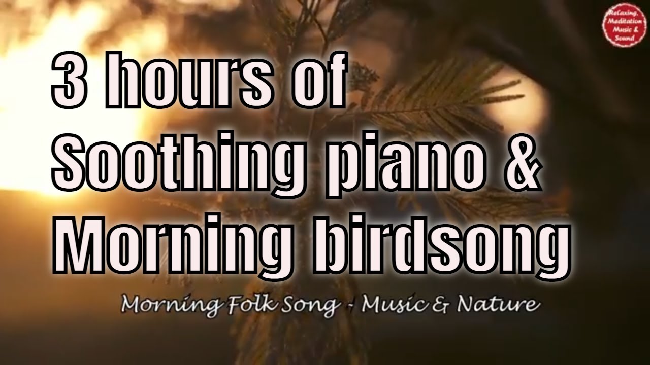 Soothing music with piano and bird singing for 3 hours, music to relief ...
