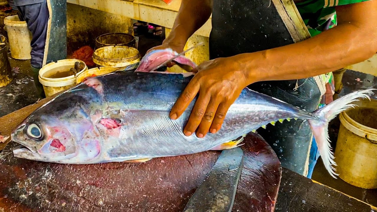 BIG TUNA FISH SLICING IN EXTREME FISH MARKET || ARMY FISH CUTTING - YouTube