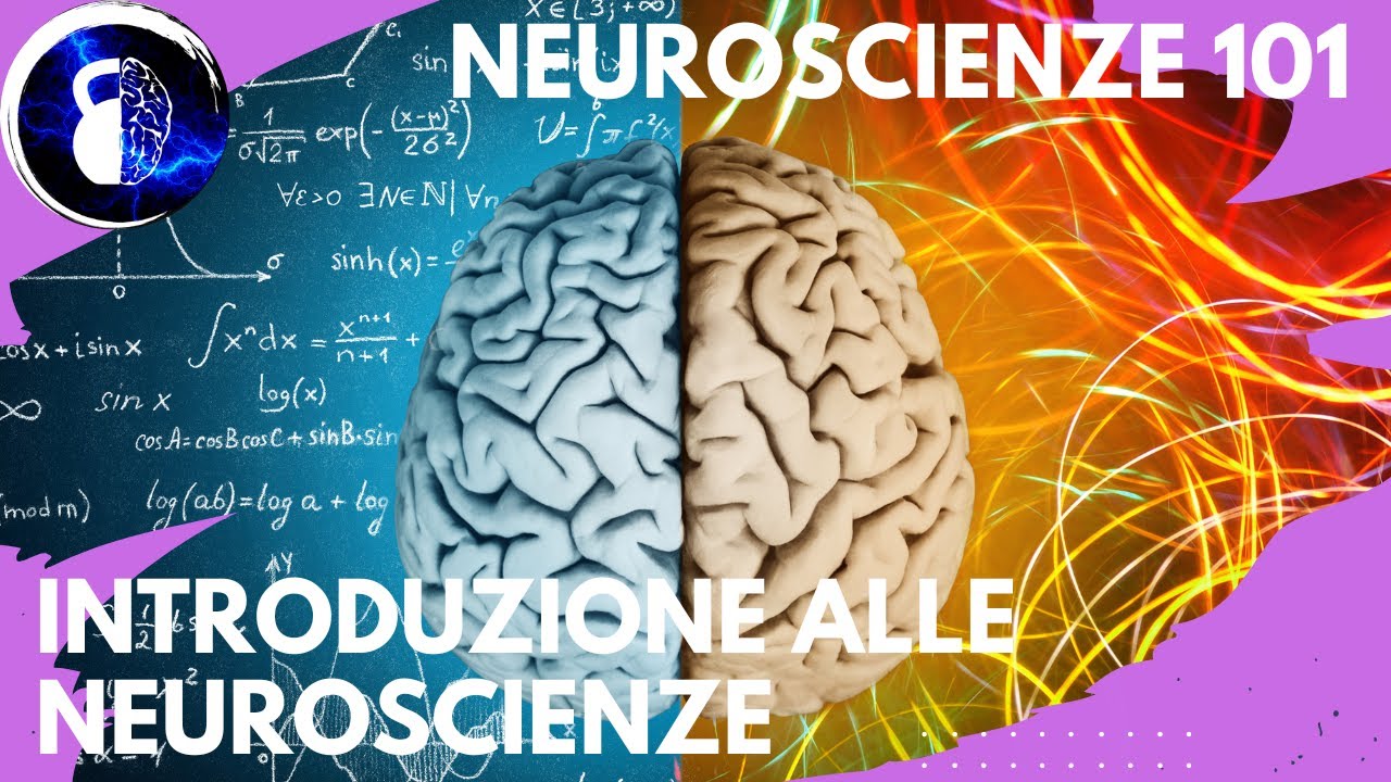NEUROSCIENZE 101: INTRODUZIONE ALLE NEUROSCIENZE - YouTube