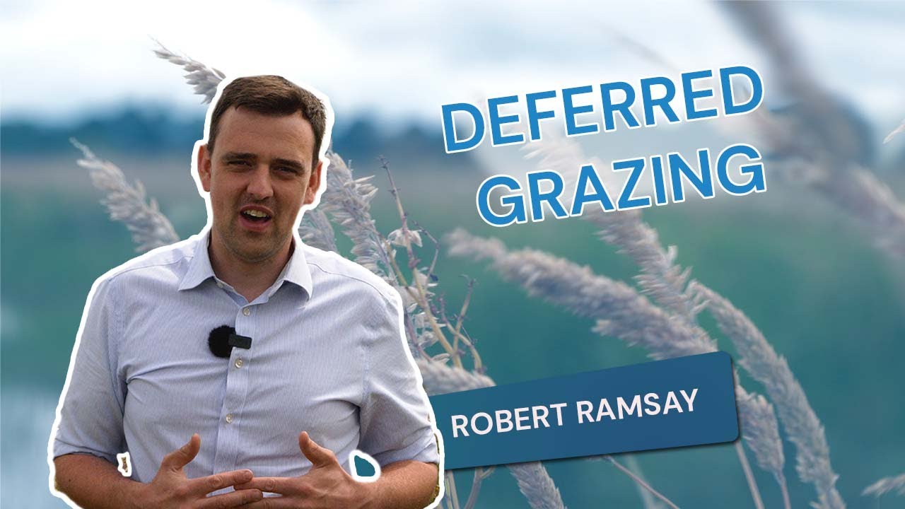 Setting up Deferred Cattle Grazing - YouTube