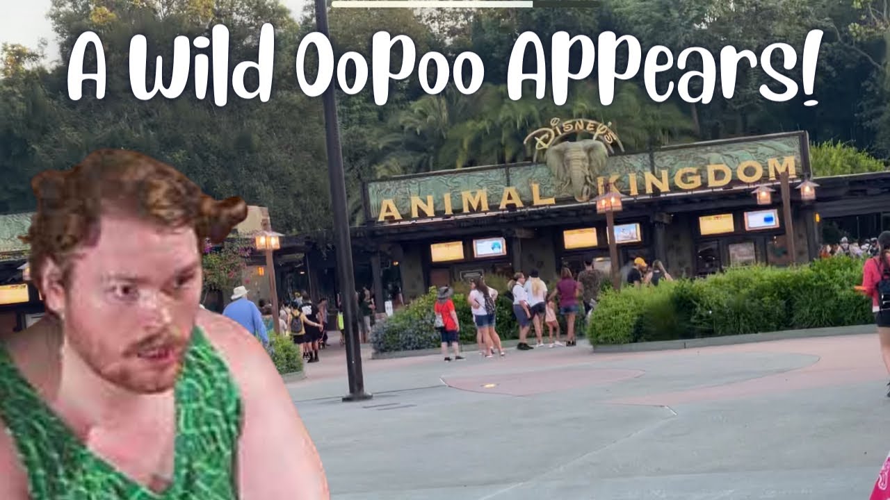 A Wild Day! - YouTube