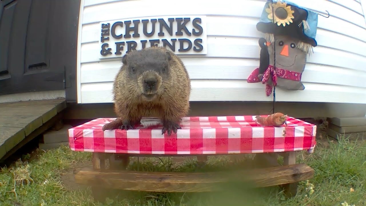 Den Prep! Chunkland S4:E2 #new - YouTube