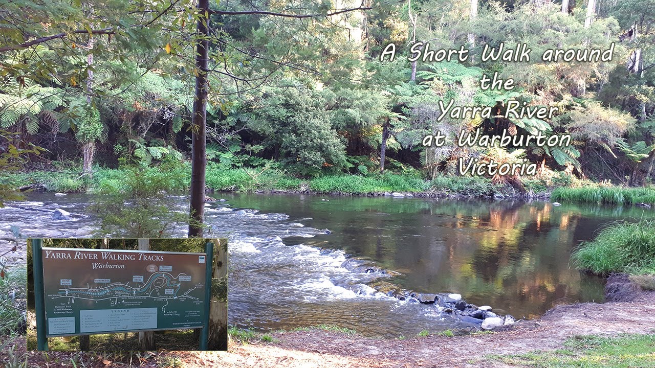 Yarra River Walk Warburton - YouTube