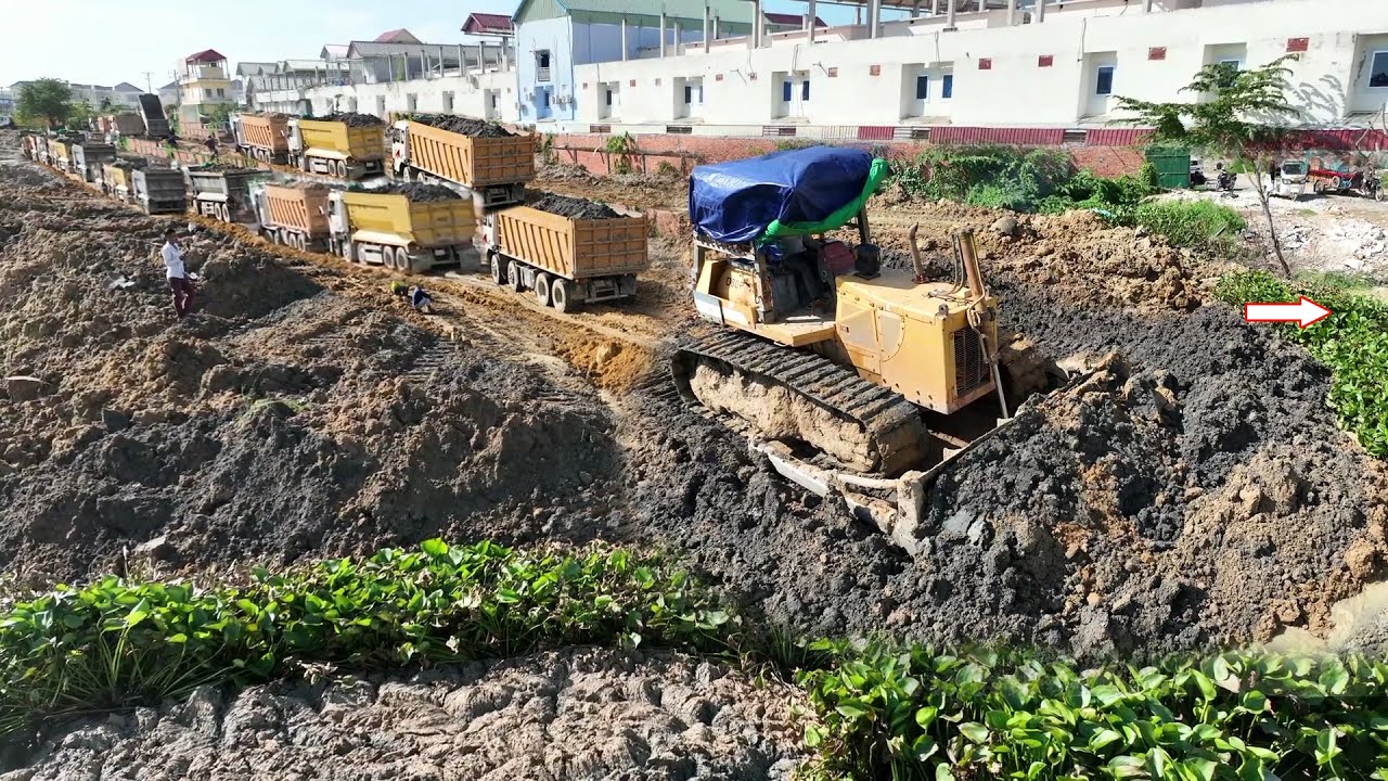 Pretty Impressive!! Complete Project 100% Bulldozer KOMATSU D60P, 25Ton ...