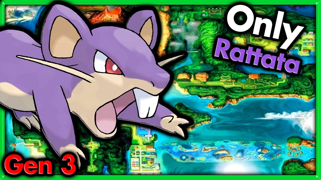 Rattata Pokemon | atelier-yuwa.ciao.jp