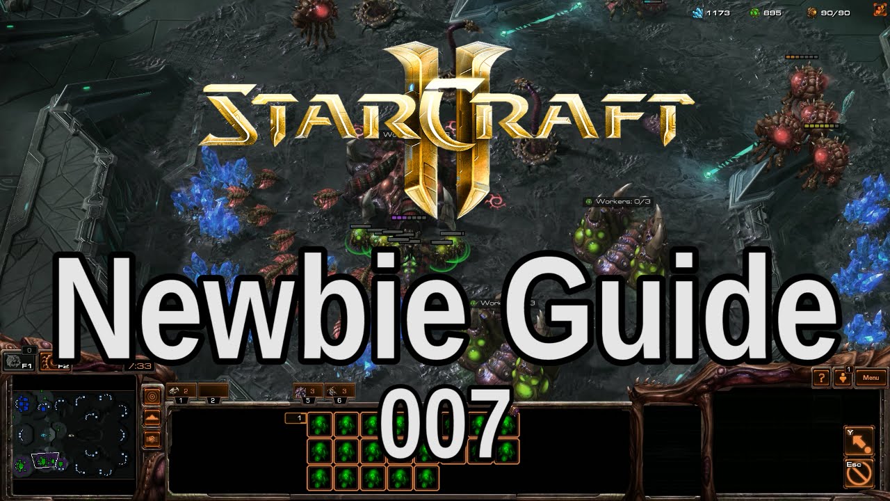 Starcraft 2 Newbie Guide - 007 - A Bit About Macro - YouTube