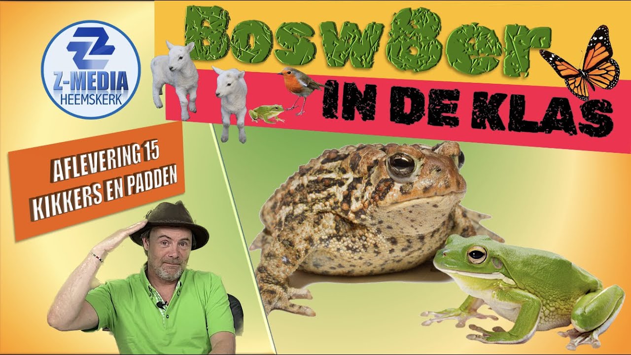 Bosw8er in de klas: Weetjes over kikkers en padden (aflevering 15) - YouTube