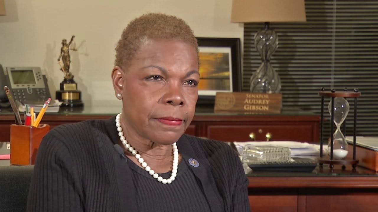 Joy Purdy's interview with state Sen. Audrey Gibson - YouTube