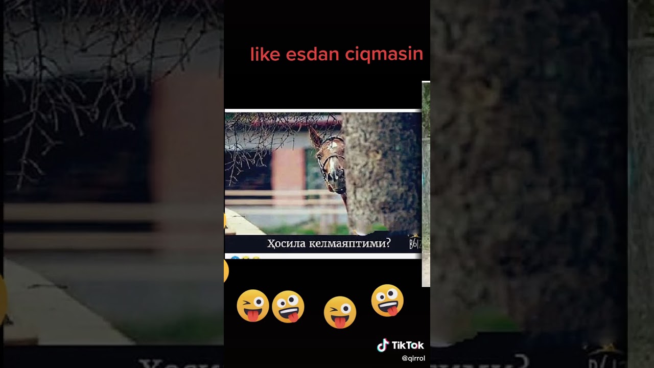 prikol rasmlar - YouTube