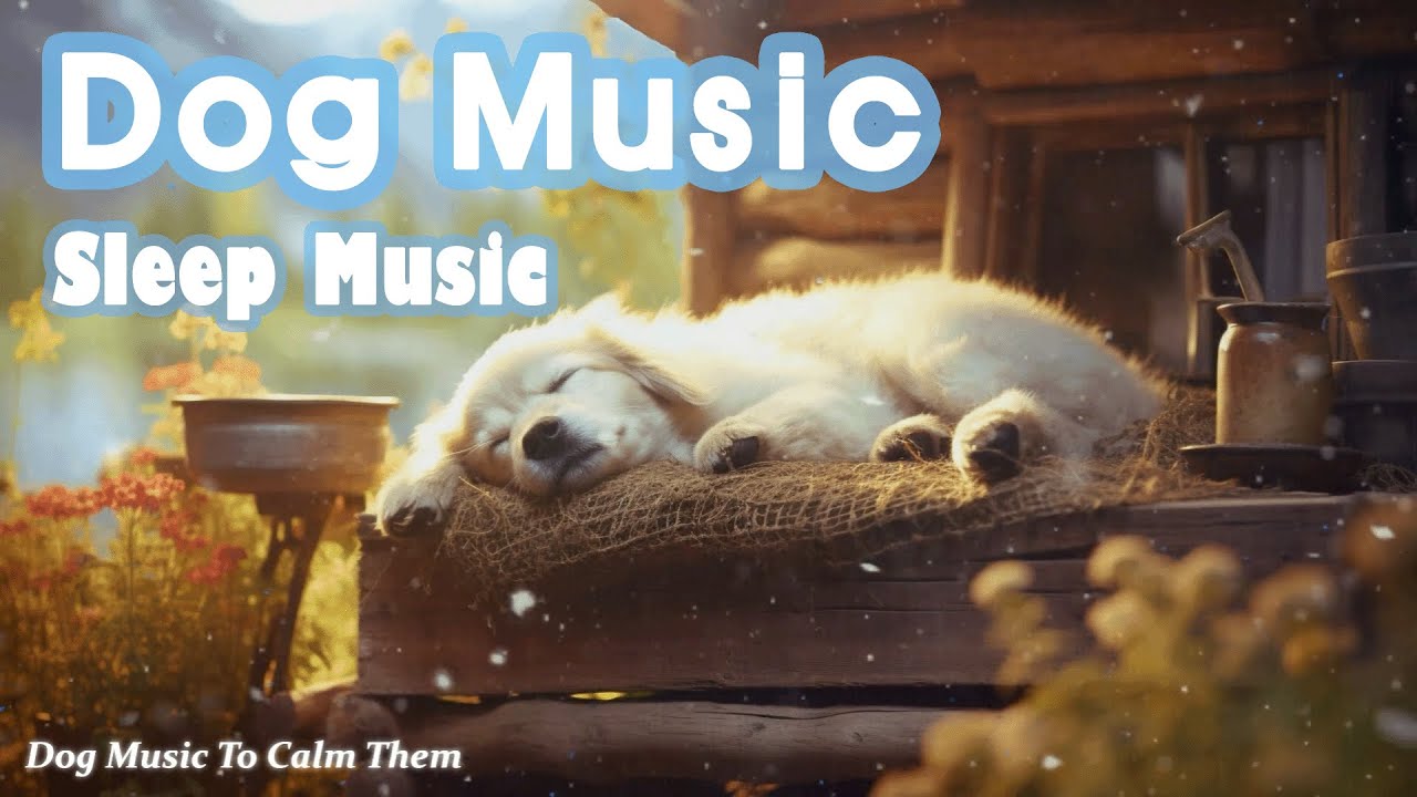 Relaxing Dog Music 🐶 Soothing Melodies to Calm Your Dog | Gentle Piano ...