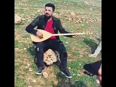 güzel kürtçe şarkı kısa performans