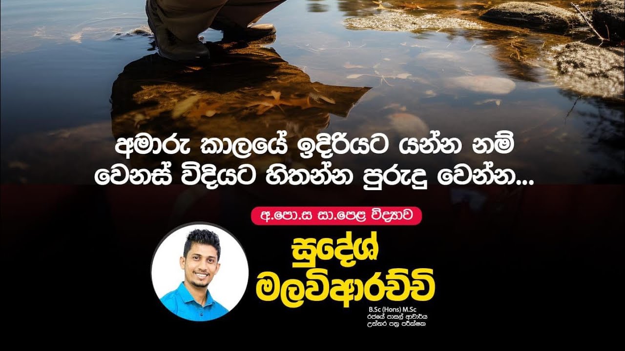 Grade 11 | Theory ( Electromagnetism & Electromagnetic Induction) # ...