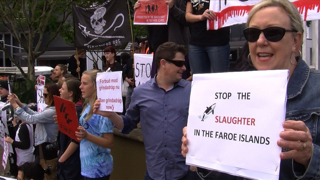 Sea Shepherd Byron Bay protests Danish Embassy - YouTube