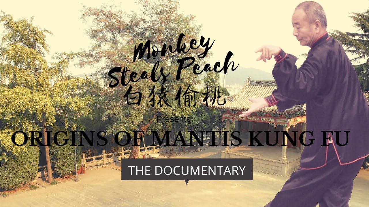 Origins of Mantis Kung Fu p2 - Emergence of Styles - YouTube