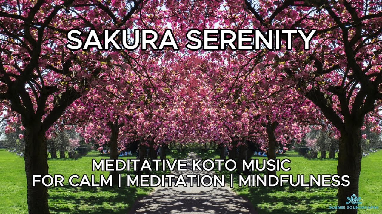 Sakura Serenity | Peaceful Koto Music & Cherry Blossom Views | 4 Hours ...