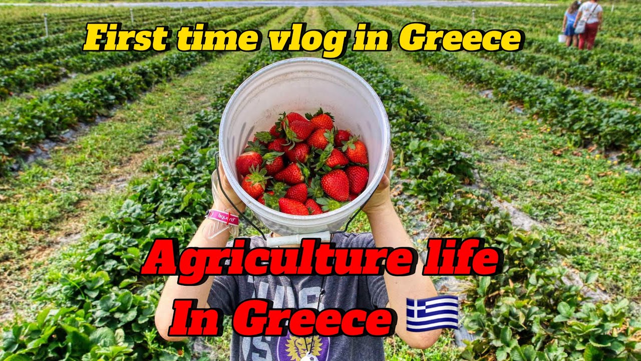 Agriculture Life in Greece Nepali #vlog #viralvideo #nepal #greece ...