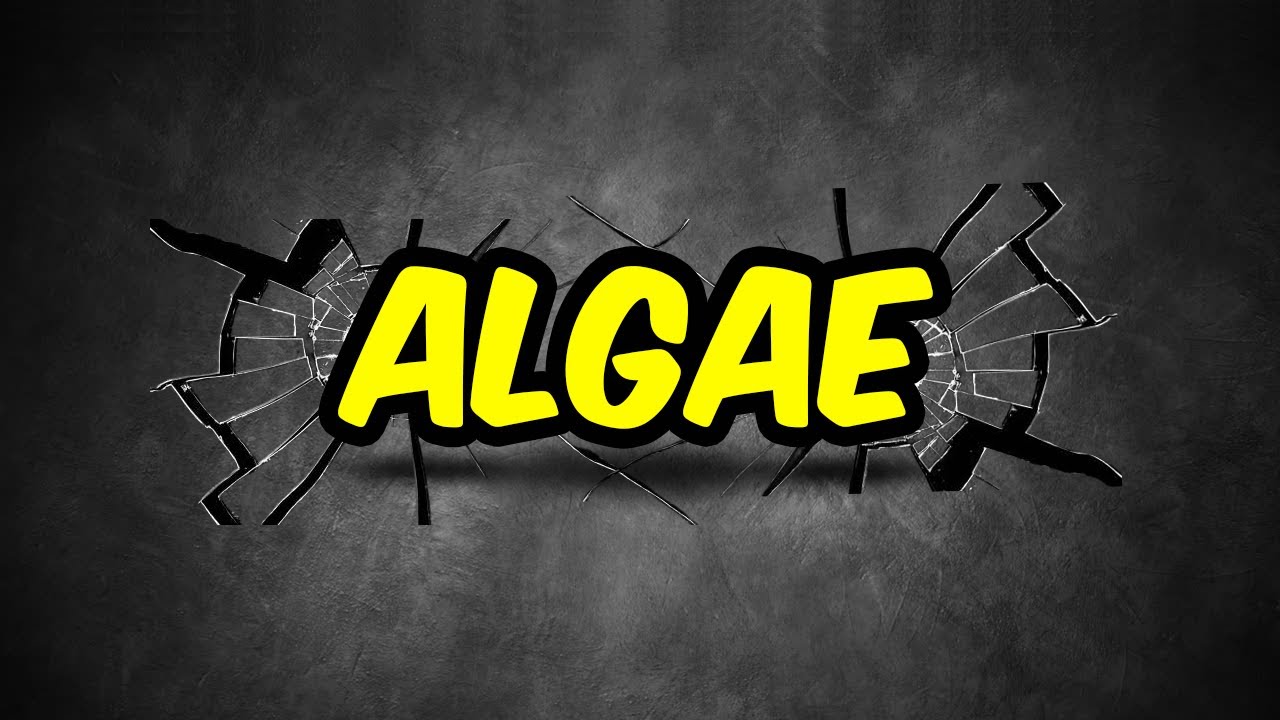 ALGAE PRONUNCIATION | BRITISH VS AMERICAN ENGLISH PRONUNCIATION - YouTube