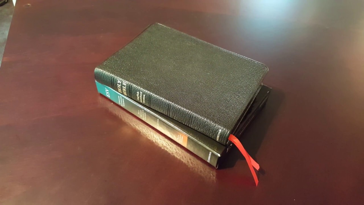 Cambridge ESV Pitt Minion in Black Goatskin cover - Bible Review - YouTube