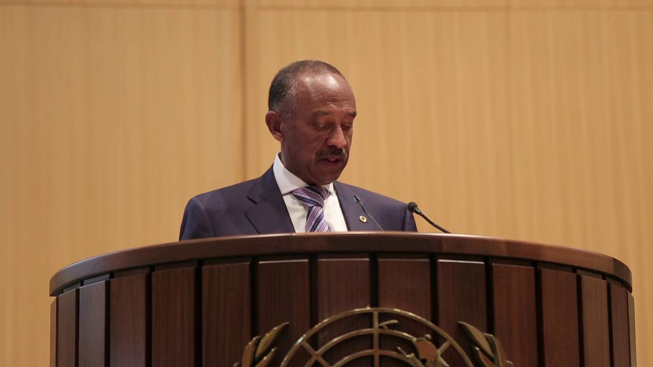 ADB's Gabriel Negatu speaking at UNIDO Investment Forum in Addis Ababa ...