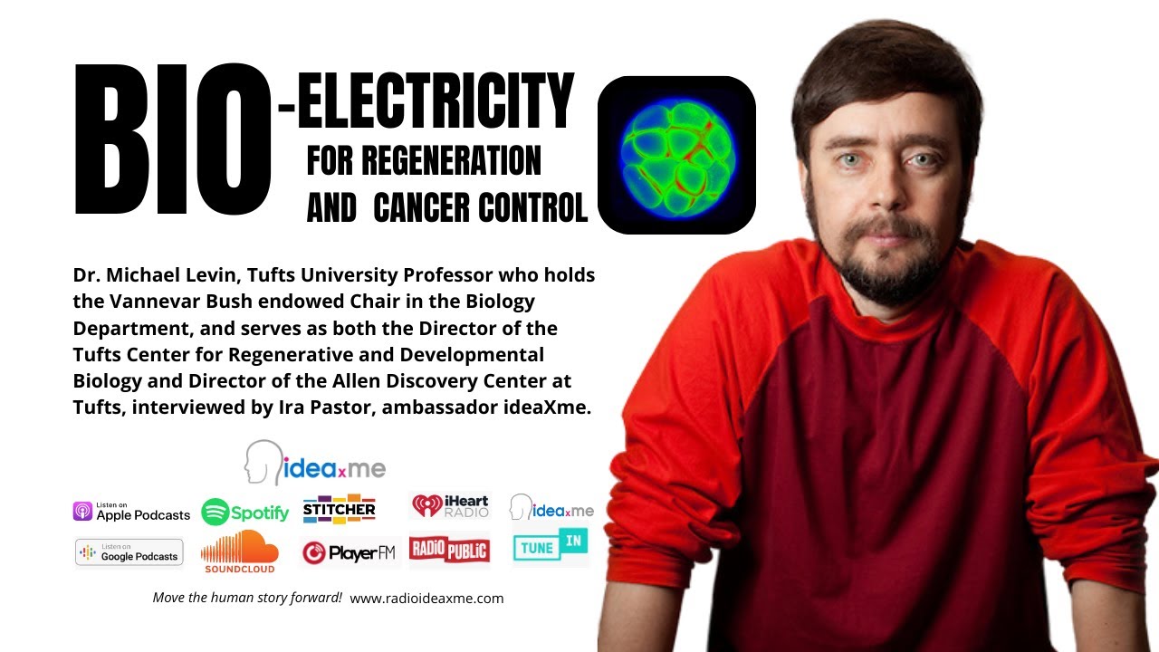 Bio-Electricity For Regeneration and Cancer Control - YouTube