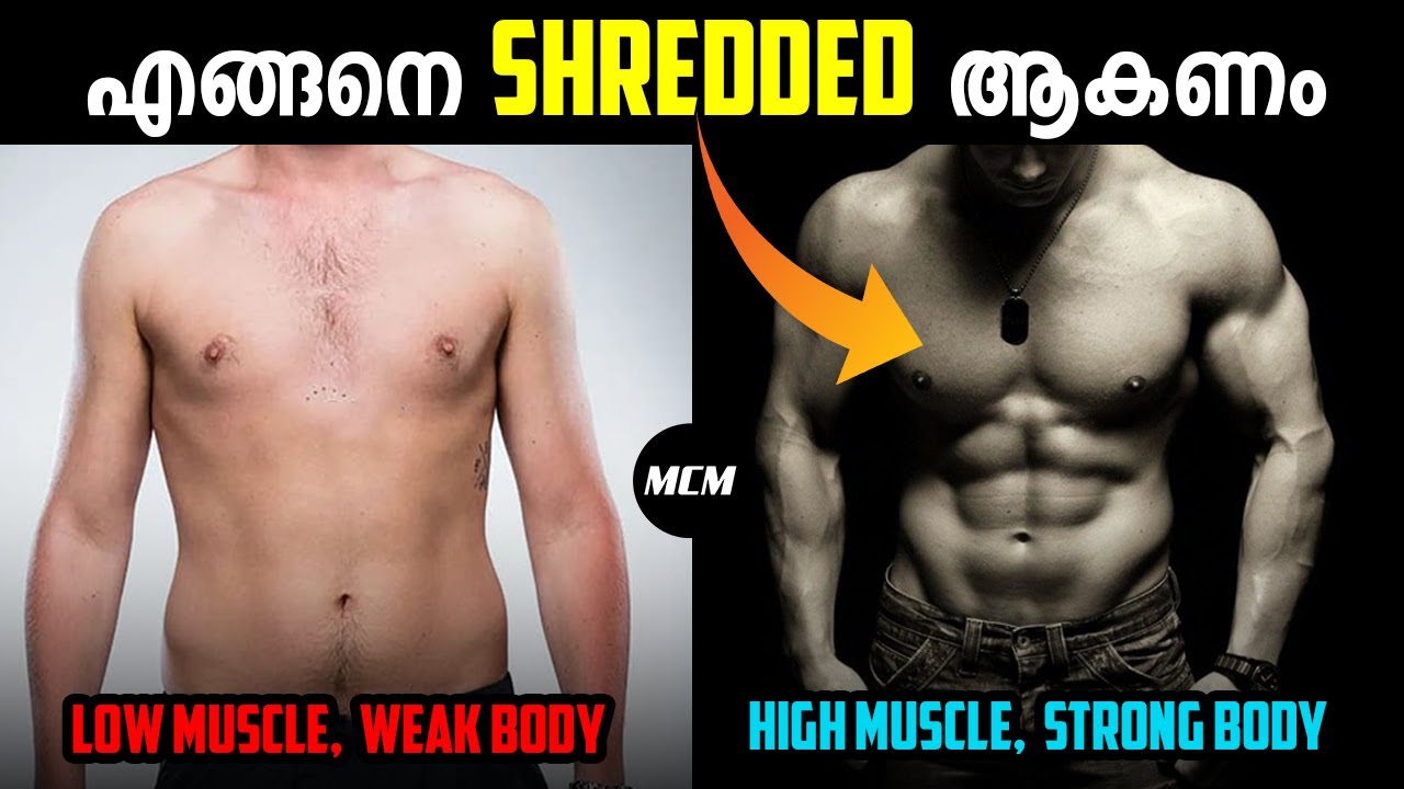 How to get Shredded | Burn Fat | Build Muscle | Guide to Perfect Body ...