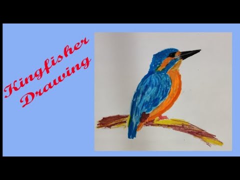 How to draw a kingfisher bird | Quick Draw | kingfisher colour sketch ...