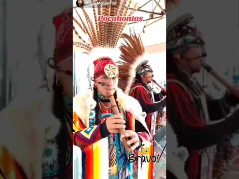 VID 20260615 WA0002