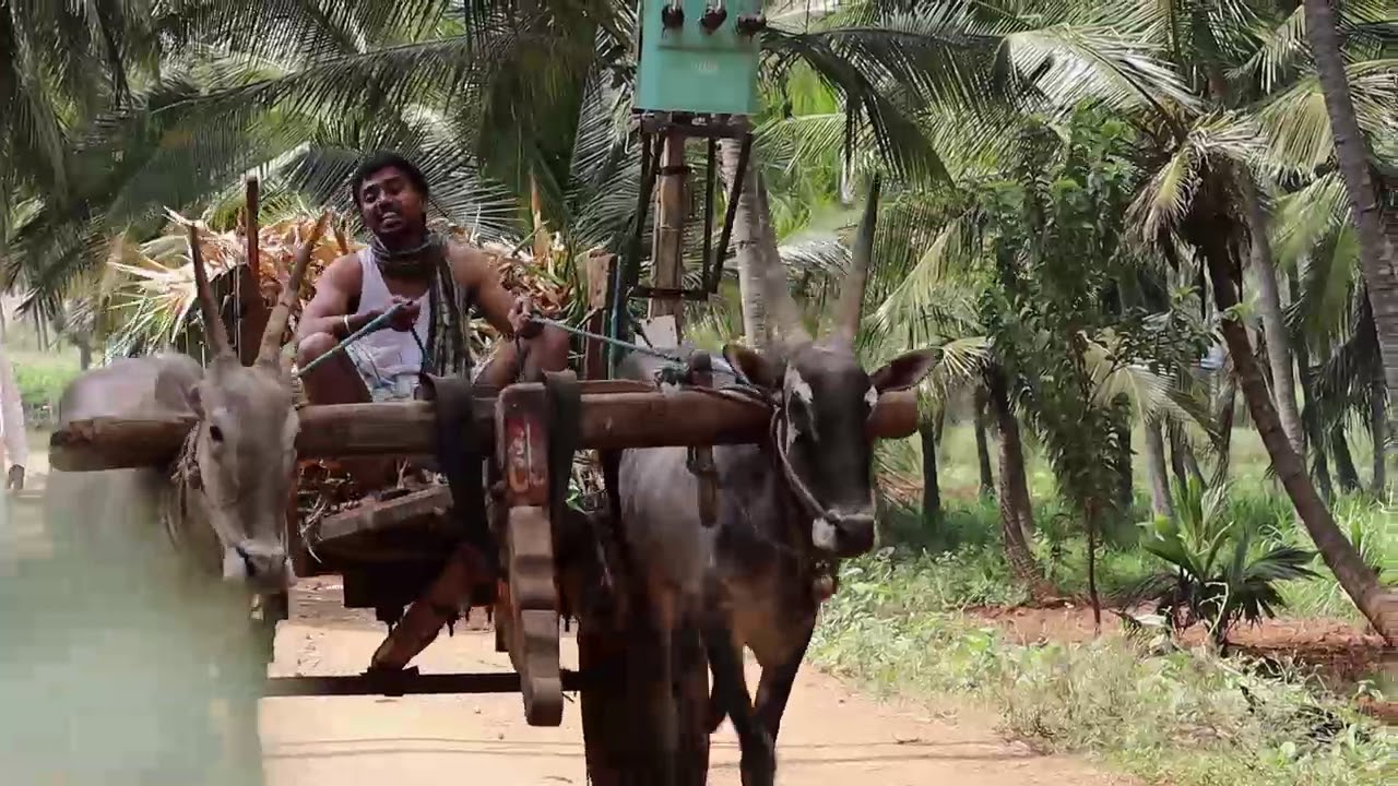 AUTO KISAN: mobile motor starter ರೈತರಿಗೆ ನಿಮ್ಮ ಮೊಬೈಲ್ ಮುಕಾಂತರ ನಿಮ್ಮ ...