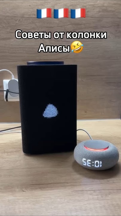 Алиса работает во Франции! Instagram: electronics_latvia 🙂#франция # ...