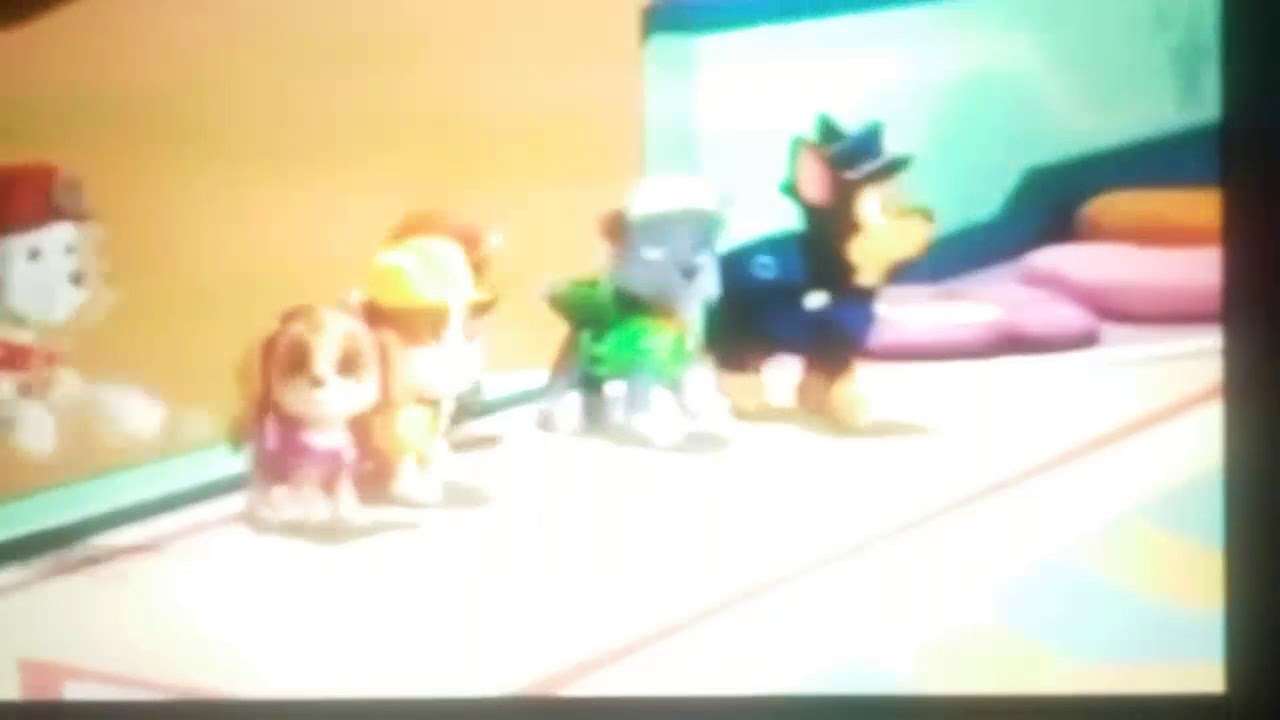 Paw Patrol Promo Weekday Youtube