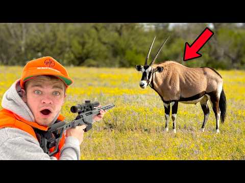 I Hunted Exotic Animals in Texas for the First Time!